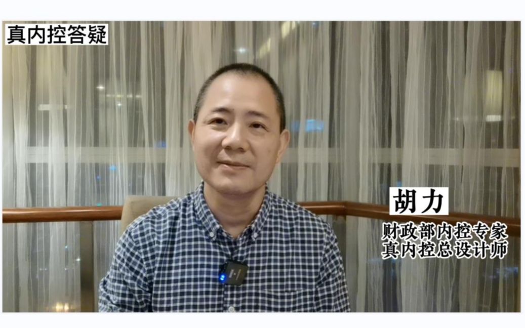 真内控胡力:财务信息化的发展趋势?