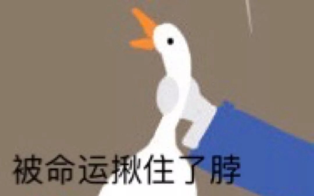 q-pcr数据处理