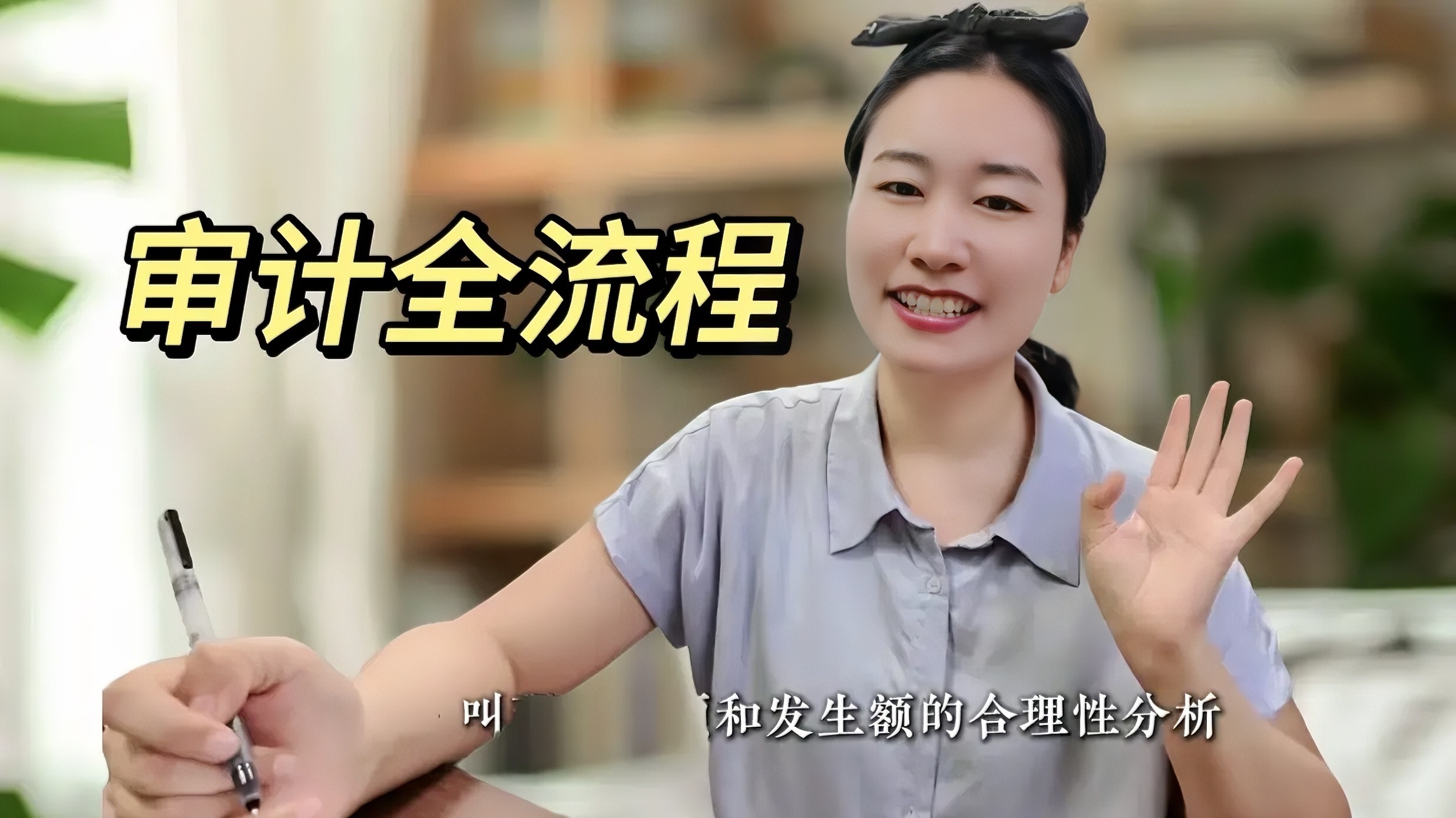 【完整版】审计工作全流程讲解!新手小白也能快速上手!