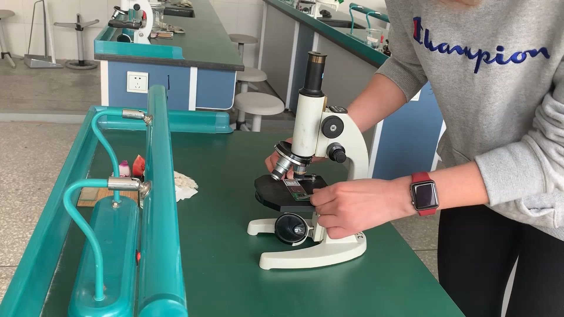 1用显微镜观察人血涂片