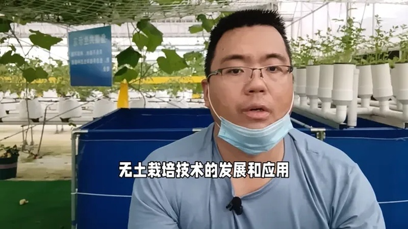 无土栽培技术:农业新革命