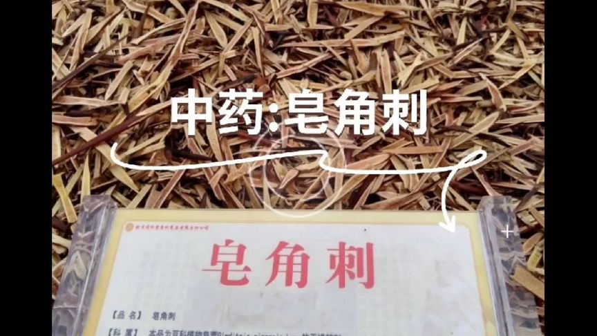 中药皂角刺的作用与功效。中草药健康知识大全。
