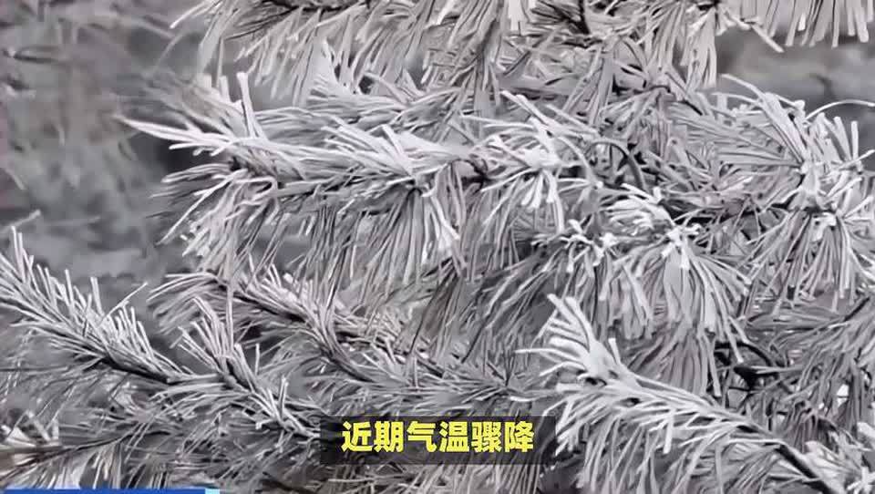 果树如何防止冻害