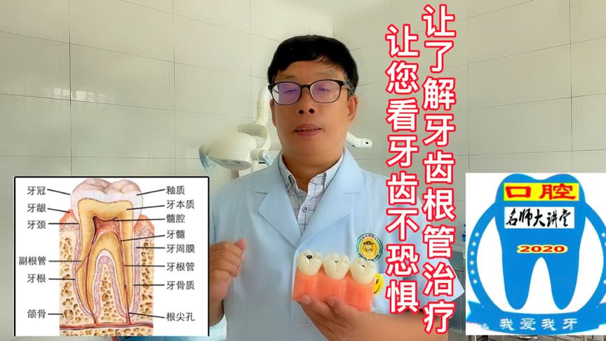 牙医讲解真人如何根管治疗,让看牙齿ߦ�不恐惧。让牙齿ߦ�更健康