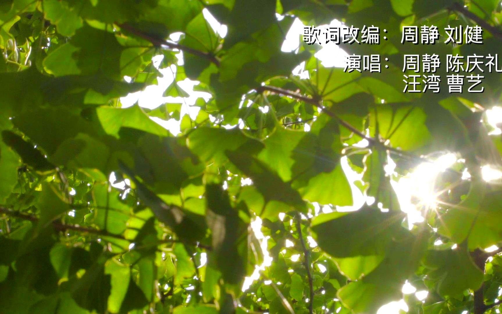 稽查四局 《税月初心》