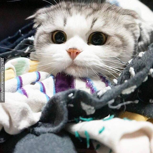 竟然那么点火花 
