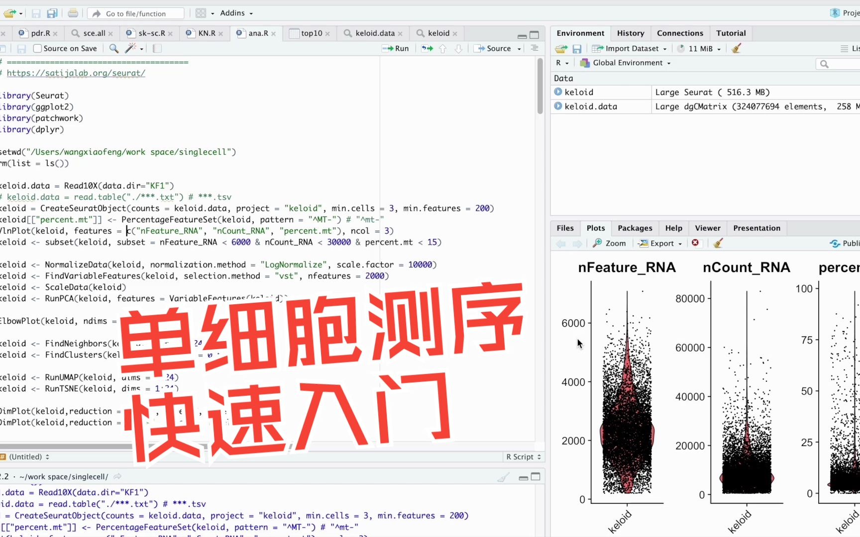 【单细胞测序01】入门教程-数据读取与分析