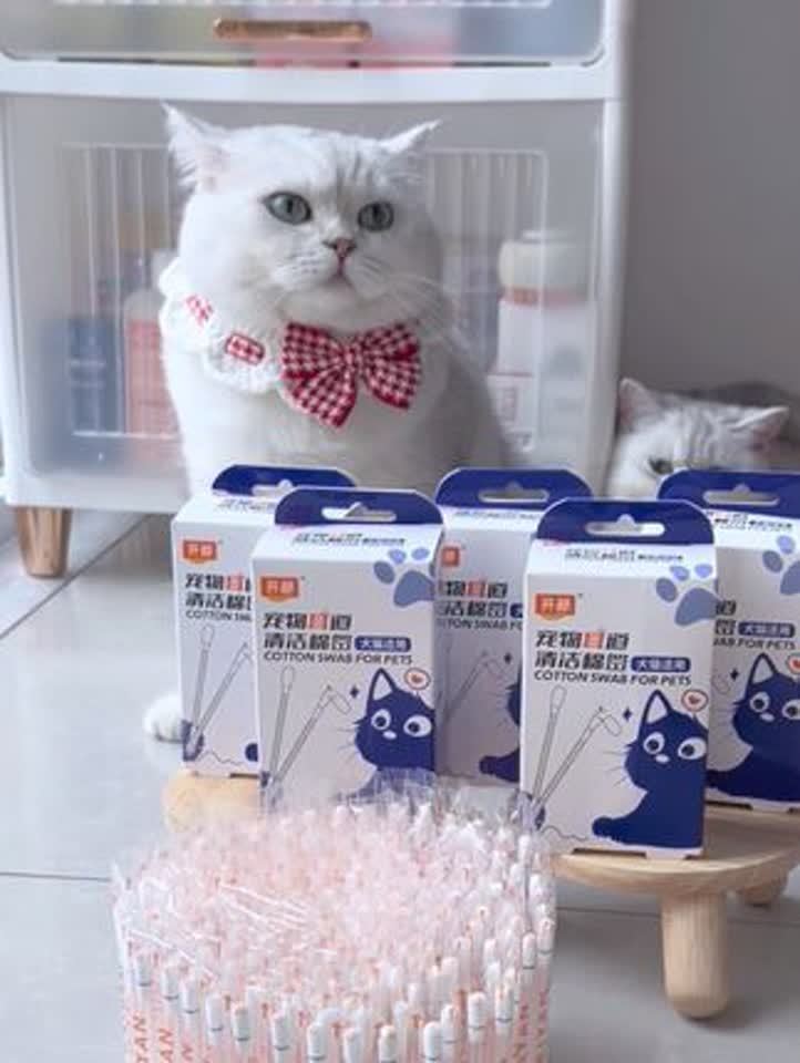 这清洁棉签也太方便了,以前给猫洗耳朵,鸡飞狗跳,还甩我一脸,多猫家庭...