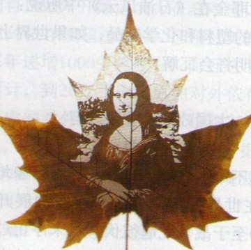 yanghuagailaoshi 