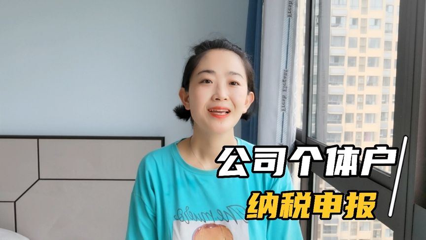会计,老板们,一般纳税人,小规模企业及个体户的纳税申报了解吗
