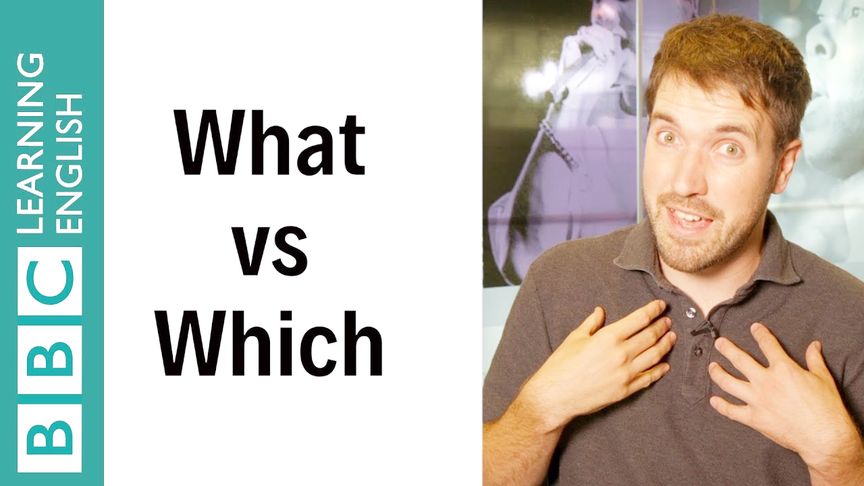 一分钟学会区别what和which
