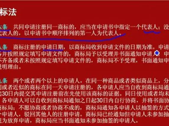 11.3 商标法解读