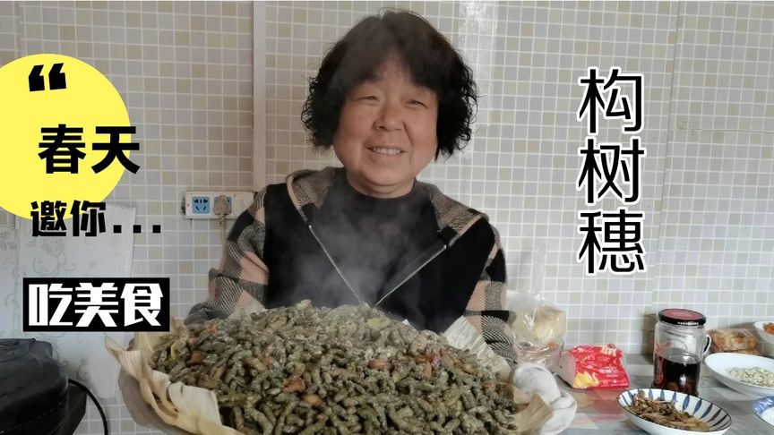 农村构树多,浑身是宝,构树穗蒸着吃鲜香软糯,营养价值更高!