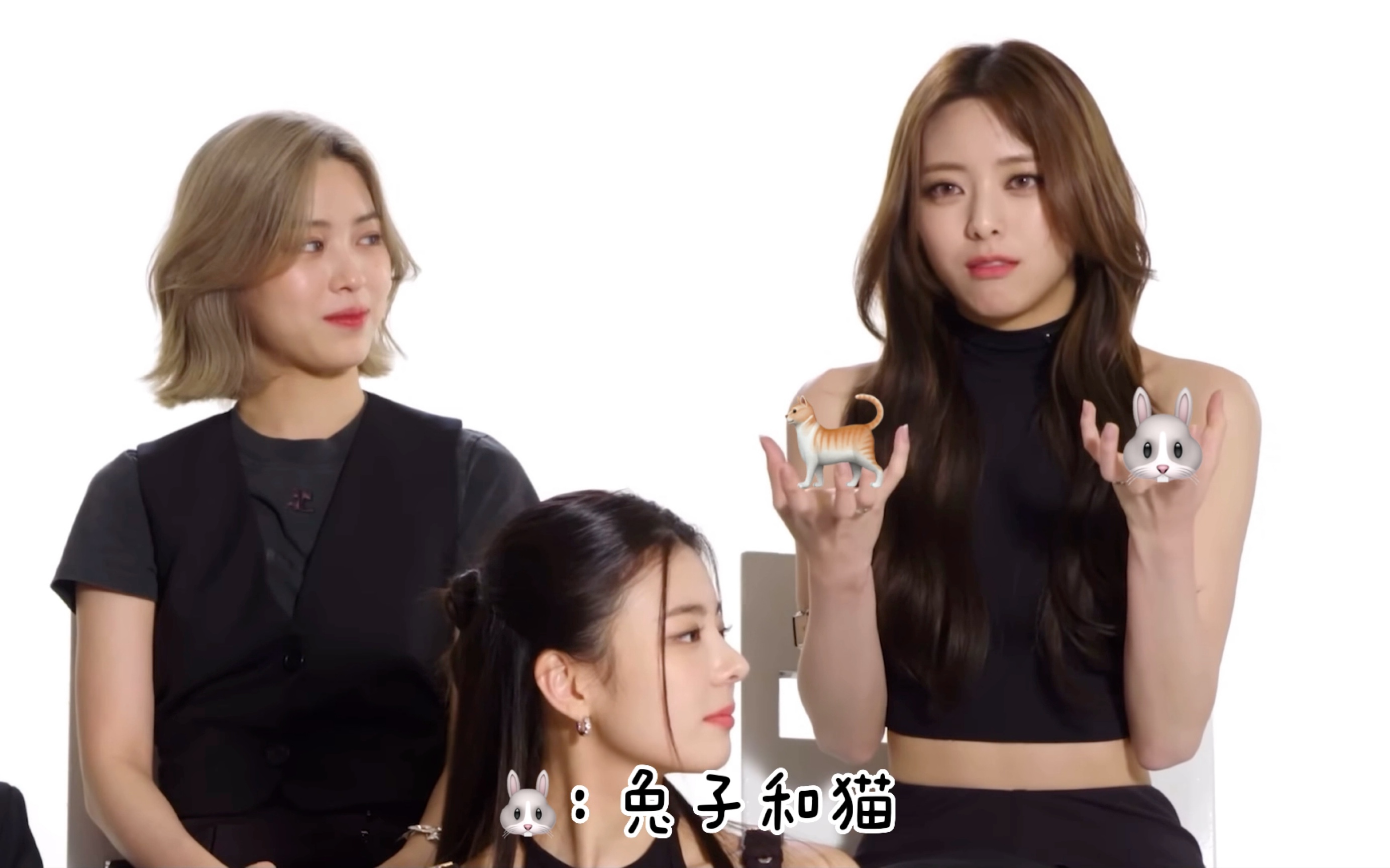 【ITZY】ITZY成员的代表动物是什么?|ITZY回答网上搜寻量最多的问题...