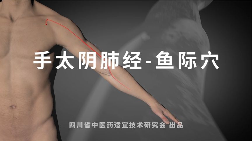 398个穴位,你找到了吗?手太阴肺经-鱼际穴