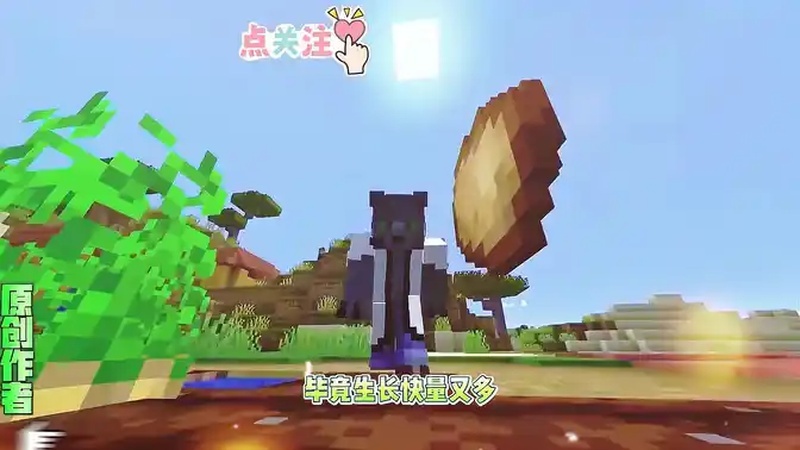 我的世界:永远不会被赞同的建议,加入末地传送门方块