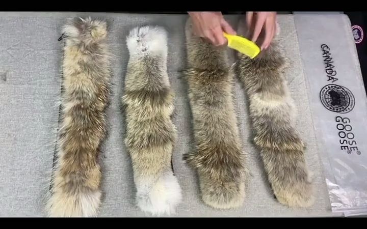 大鹅羽绒服如何避免踩坑?这几个重点一定要知道,大型拆解看绒毛