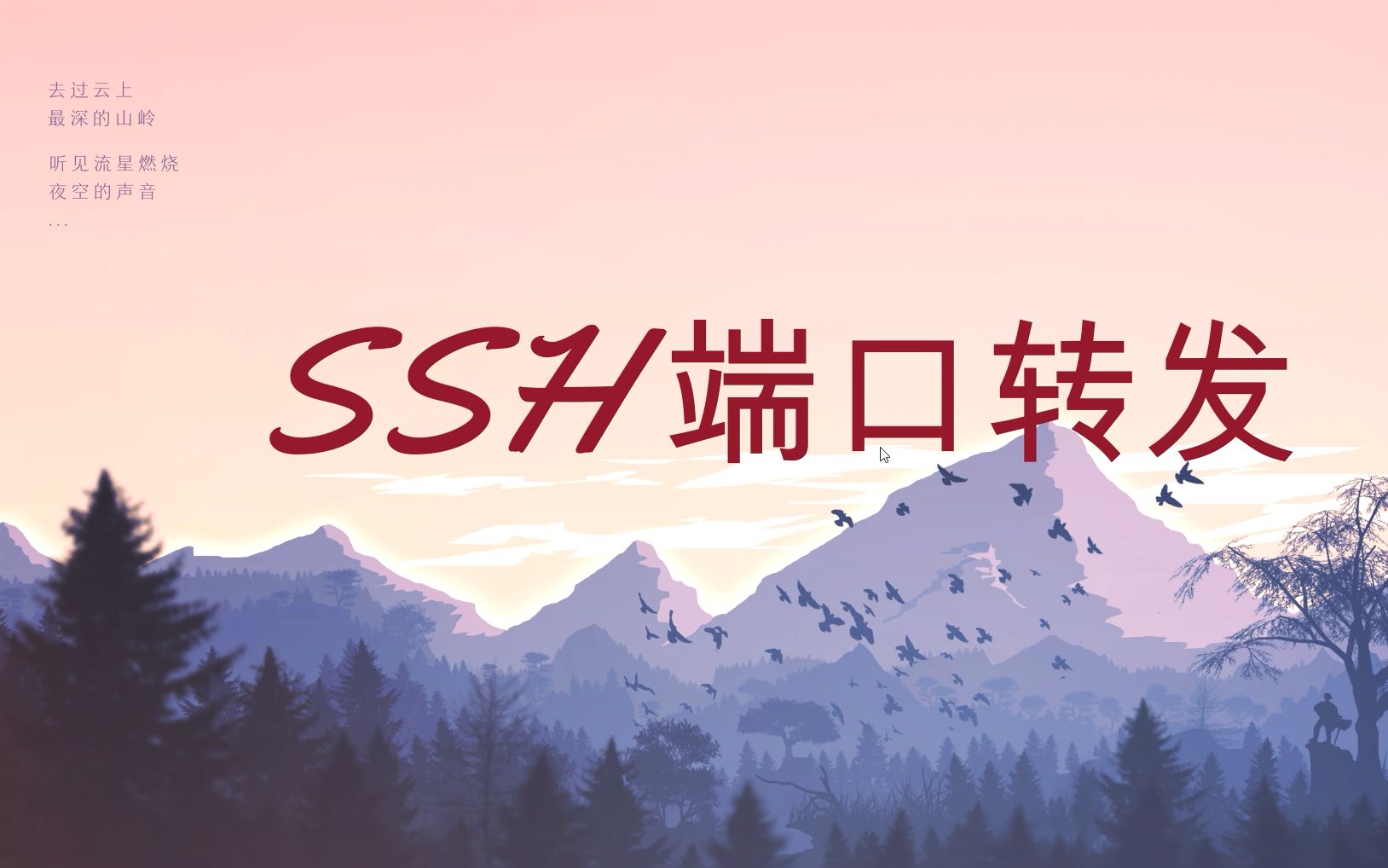 SSH端口转发 | 本地 | 远程 | 动态 | 维持