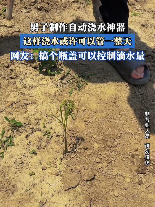 男子制作自动浇水神器,这样浇水或许可以管一整天
