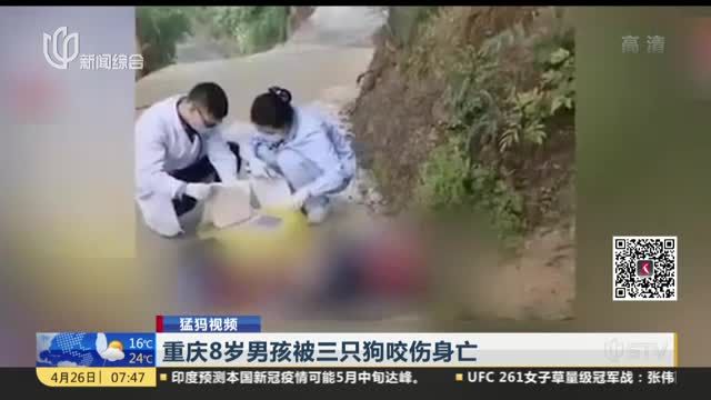重庆8岁男孩被三只狗咬伤身亡