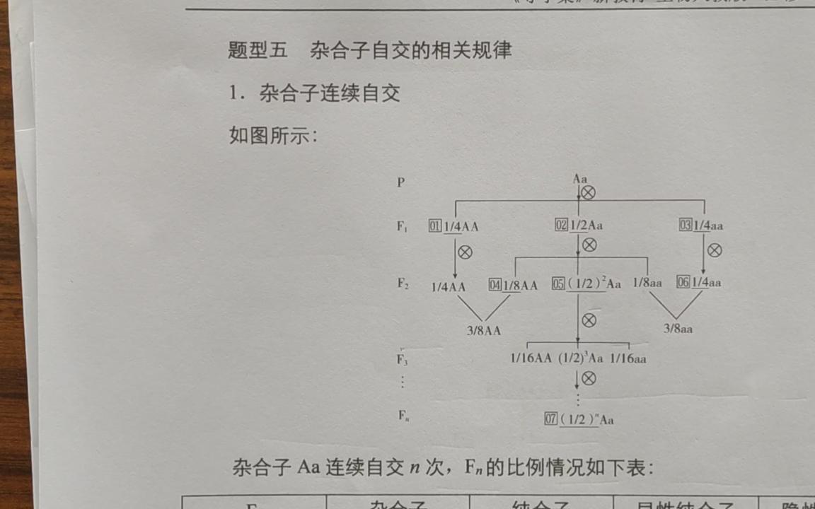 杂合子自交的相关规律1:杂合子连续自交