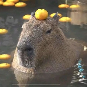 姜湖舟 