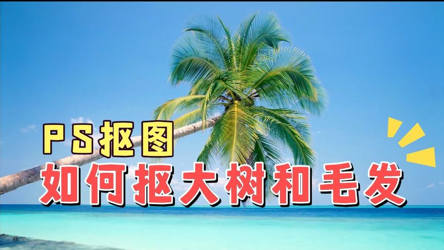 PS进阶课程-如何抠大树和毛发@芽木绘画