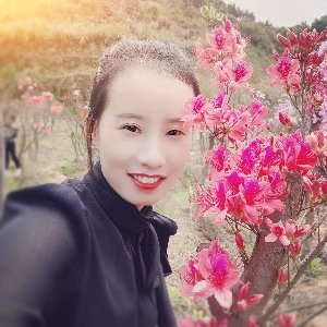 好奇起航 