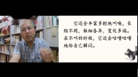 11.黄吉鸿:第二学段发展型学习任务群__文学阅读与创意表达解读