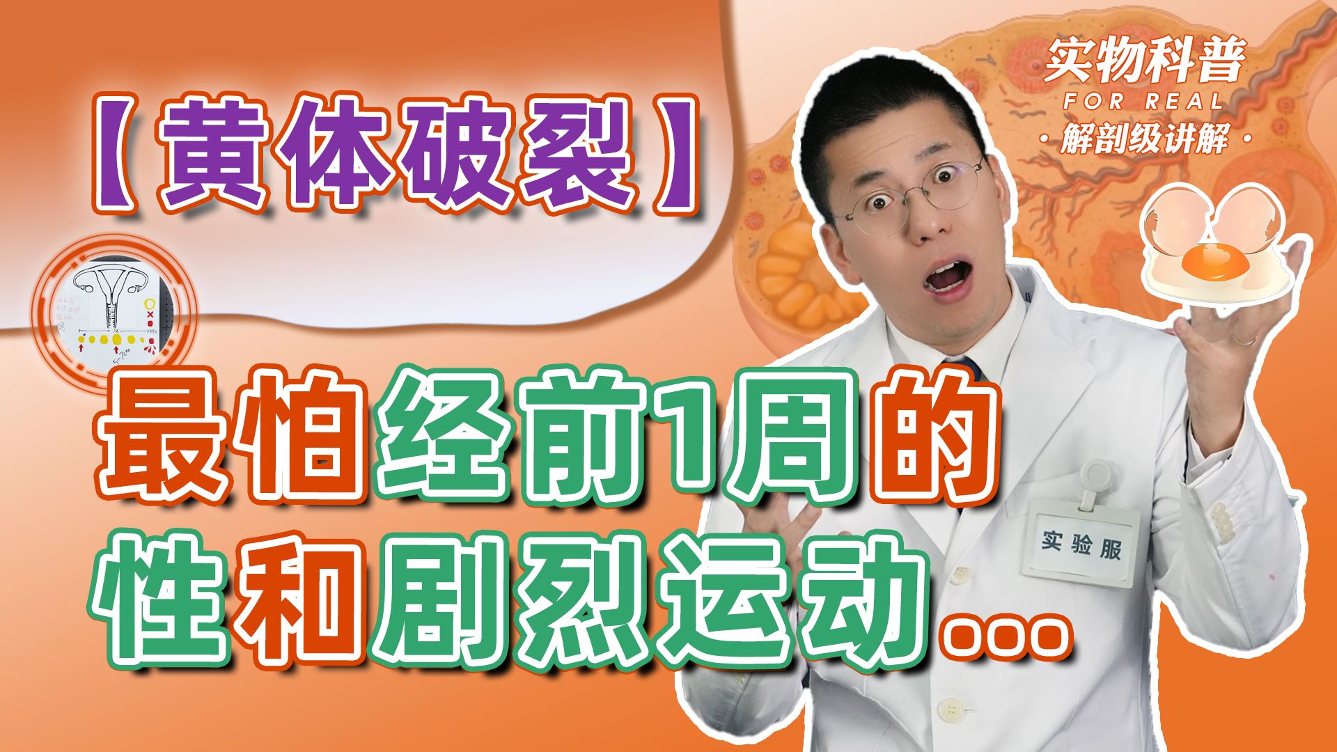 【黄体破裂】最怕经前1周的性和剧烈运动 | 10分钟解剖级讲解