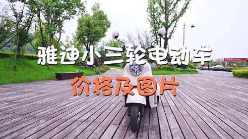 雅迪三轮电动车价格曝光!颜值与实力并存,多款车型实拍图抢先看