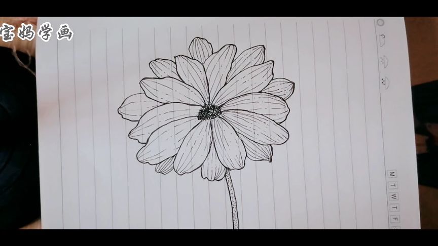 线描花卉,一朵简单的小花,来画吧