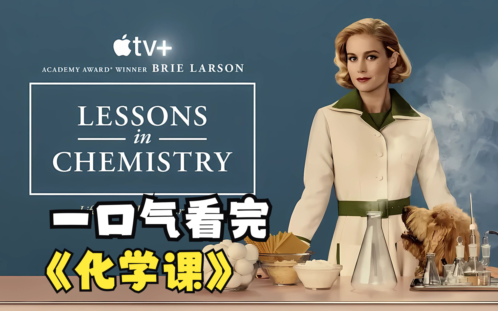 一口气看完美剧《化学课》看一个女人是如何觉醒的