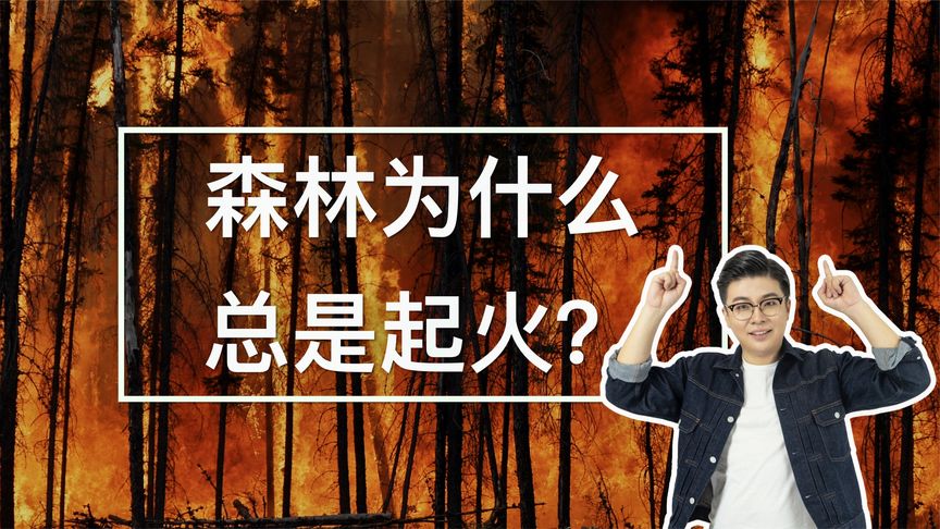 森林为什么总起火?可能只是大自然想缓一缓~