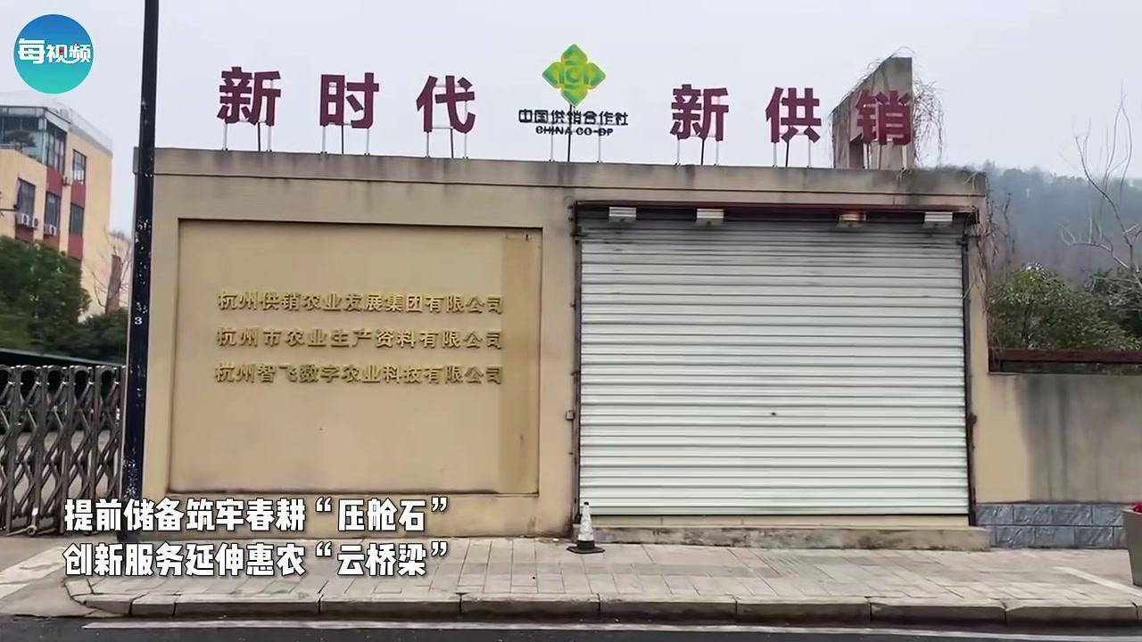 春回大地,杭州田间地头一派繁忙景象。作为服务"三农"的国家队,杭州...