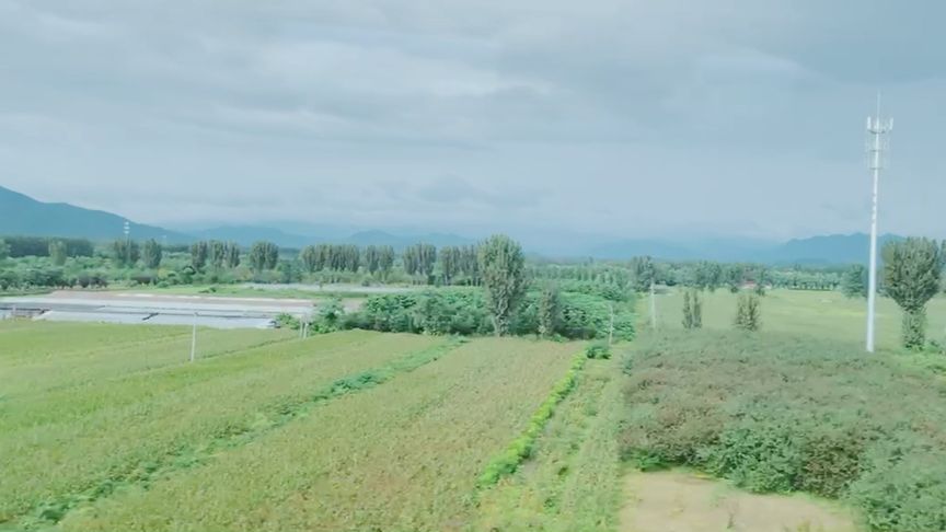北京朝阳到哈尔滨西,高铁出差。