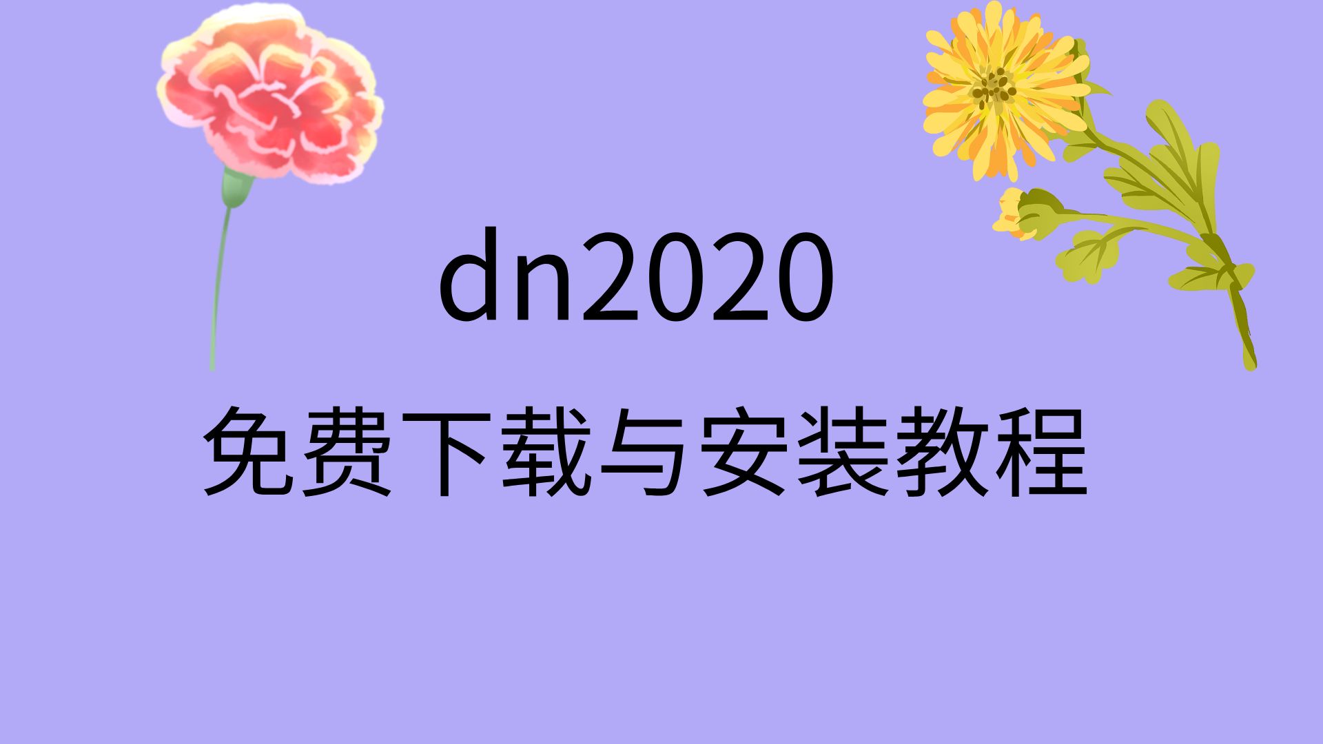 dn2020安装包软件安装包免费下载与视频安装教程下载地址