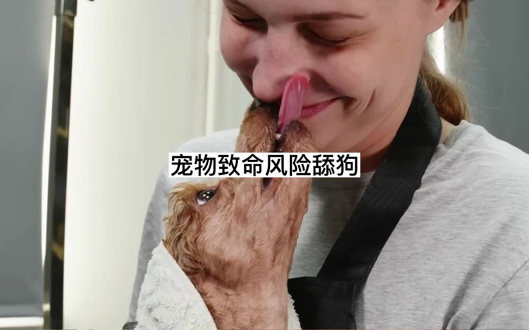 被猫咪舔了一下竟付出生命的代价,被狗舔了下就要截掉四肢,这些动物...