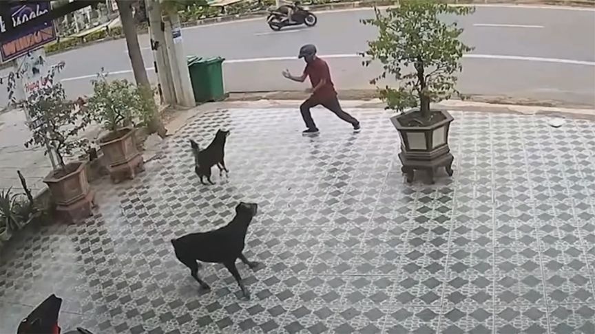 功夫战恶犬!男子走路被狗咬,一招“擒拿术”把恶狗撂倒