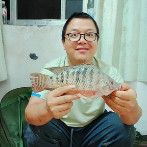 老男孩伯哥（爱钓鱼） 
