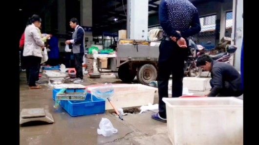 小伙子是怎么从两轮电瓶车摆摊,到4间店面房做生意的?卖鱼排队