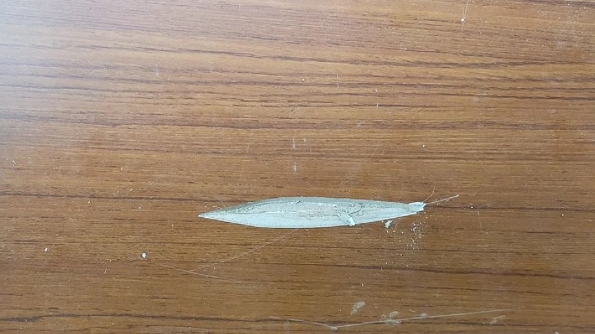 家具维修,家具修补维修教程