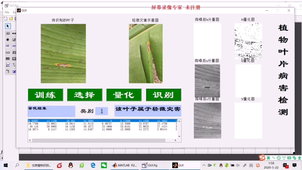 Matlab植物叶片病害检测设计赏析
