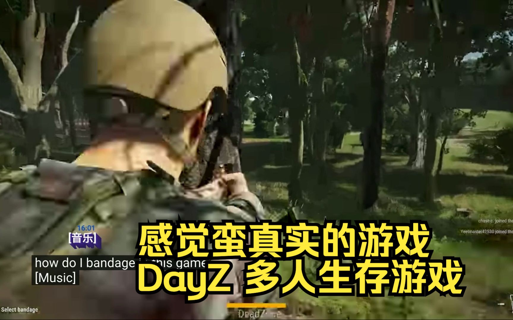 感觉蛮真实的游戏 DayZ 多人生存游戏