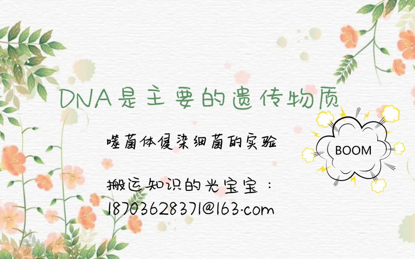 噬菌体侵染细菌实验