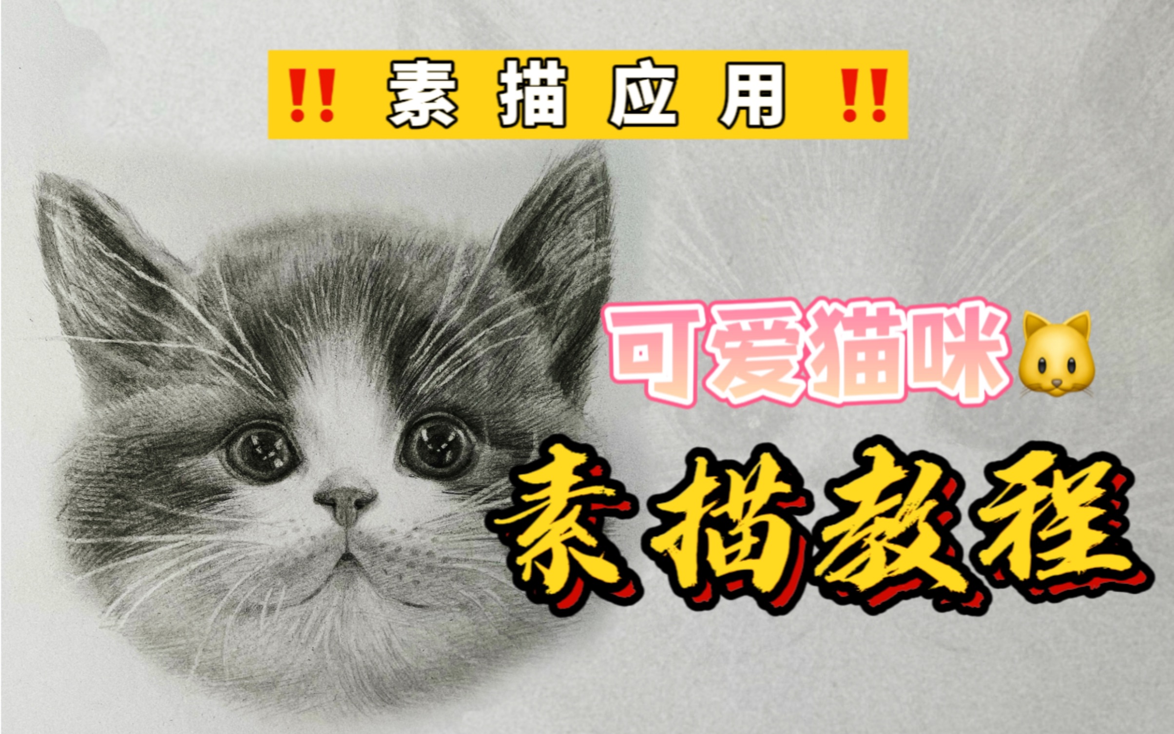 素描动物|超萌的素描猫咪绘画教程!这萌萌的小表情,谁顶得住啊!