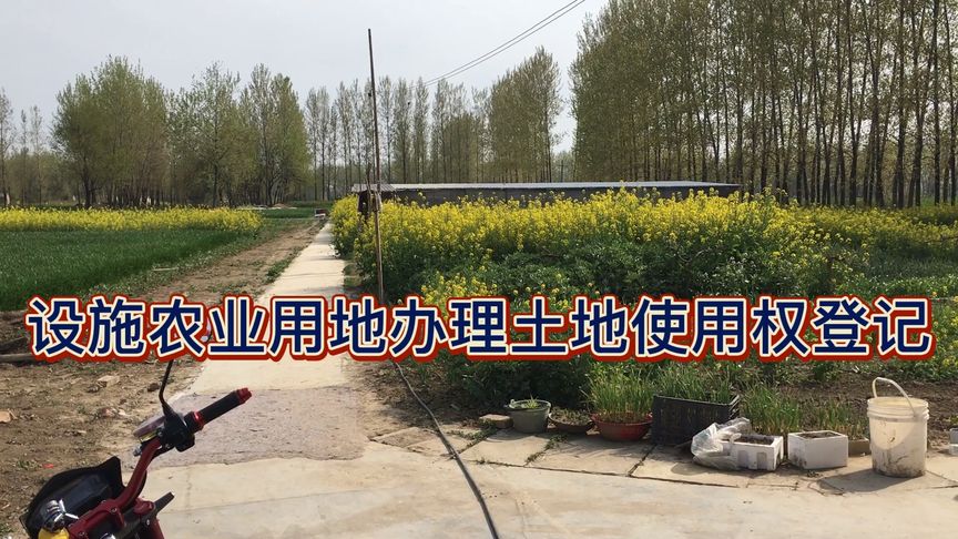 养猪场要办理设施农业用地土地使用权登记和备案