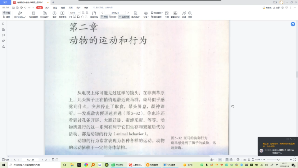 初中生物八年级上册人教版【动物的运动】网课