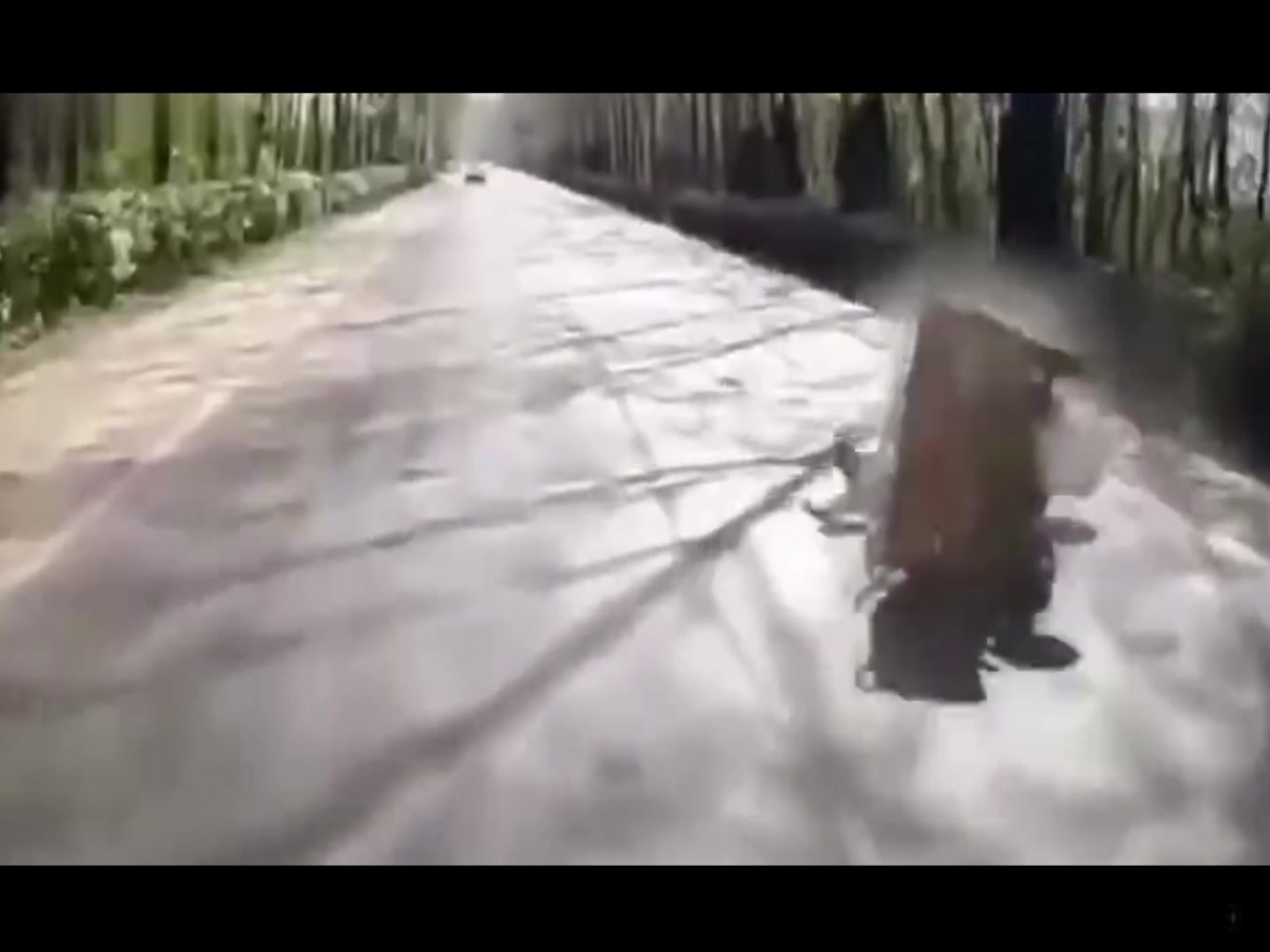 503期:宝马轿车起飞失败,3名鬼火少年被撞飞!