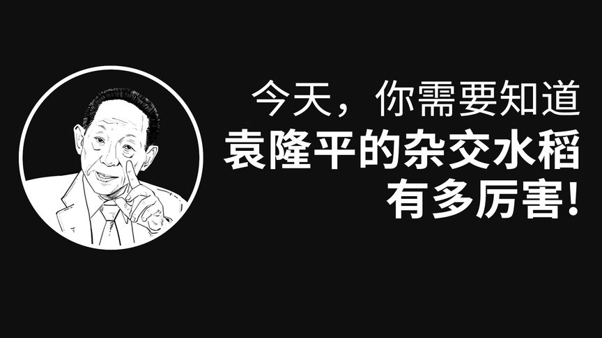 你需要知道袁隆平的杂交水稻有多厉害!